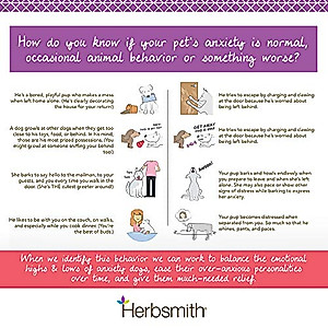 Herbsmith Calm Shen – Herbal Blend for Dogs & Cats – Natural Anxiety Remedy for Dogs & Cats – Feline and Canine Calming Supplement – 150g Powder