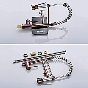 Swivel and Spring Spout Pull Out Taps Pull-Out 360°Swivel Kitchen Mixer Tap Pull Down Single Lever Basin Kitchen Faucet(Rose Gold)