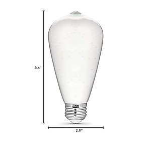 Feit Electric Infinity 3D Fireworks LED Light Bulb, ST19 LED Bulb, ST19/PRISM/LED,1 Count (Pack of 1), Multicolor