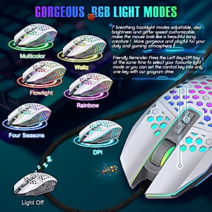 RICESTKCN Gaming Mouse PC Gaming Mice - Honeycomb Mouse Gamer RGB Gamingmouse Wired Ergonomic 6 Levels up to 8000 DPI 7 Programmable Buttons 7 Backlight Modes for PC Laptop Mac Windows Vista (White)