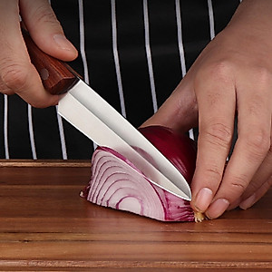 AYANICA Kitchen Knife 4.5 inch Lightweight High Carbon Stainless Steel Sharp Blade Wooden Ergonomic Handle Paring Peeling Fruit Slicing