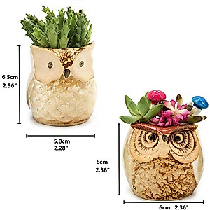 Weierken 12PCS Owl Pot Ceramic Flowing Glaze Base Serial Set Mini Succulent Plant Pot Cactus Plant Pot Container Planter Bonsai Pots with A Hole