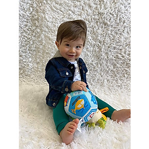 HABA 5.5" Baby Ball Vehicles Tummy Time and Sensory Play Favorite to Encourage Crawling and Gross Motor Skills for Babies 6 Months and Up