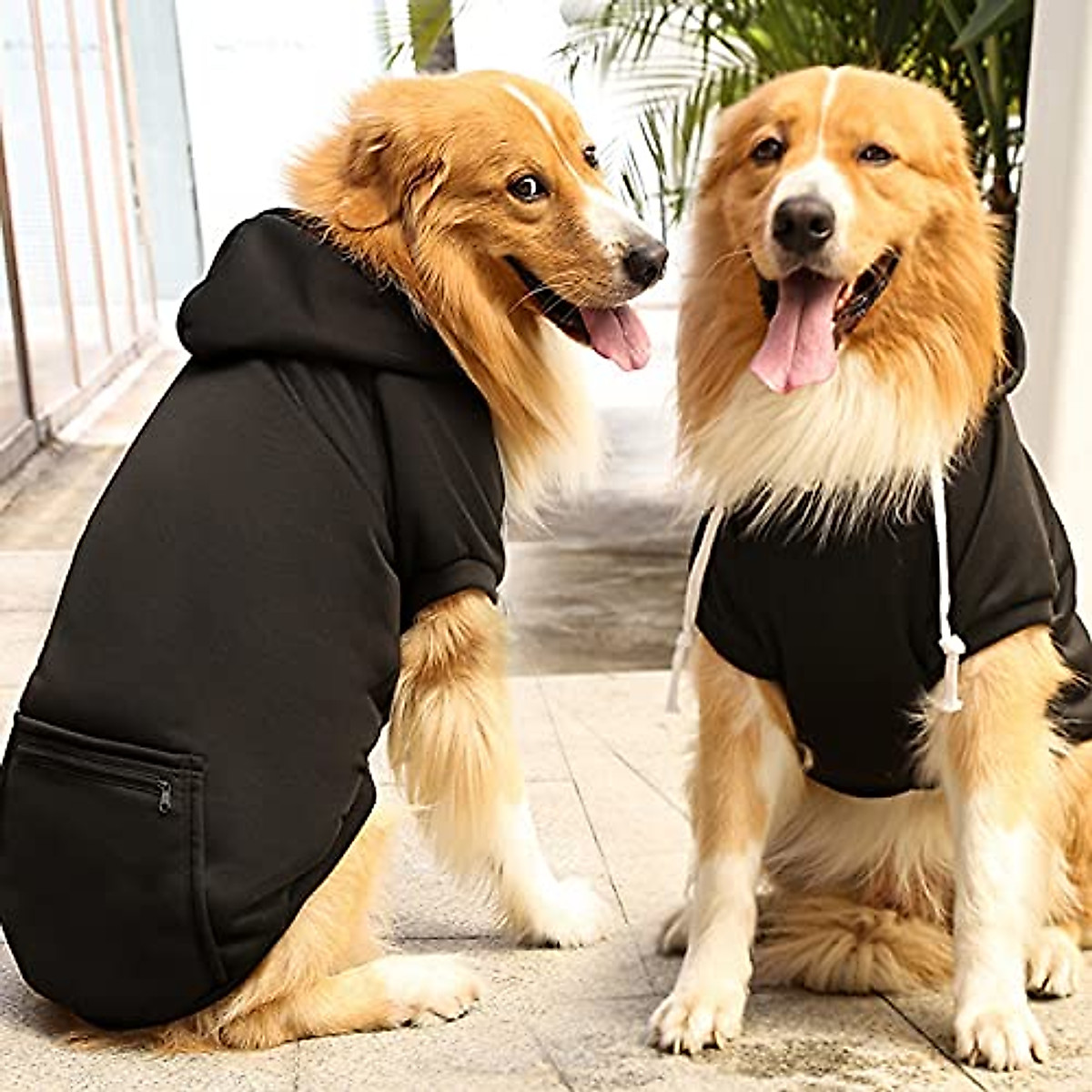 Boy Puppy Outfits Pet Autumn and Winter Cute Fleece Zipper Pocket Sweatshirt Black Tops Cats Hoodies Warm Pet Clothes Small Dog Shirt Girl Set