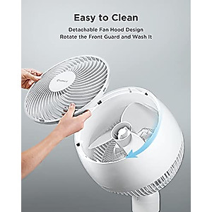 AIRMATE Air Circulator Fan with Remote,Oscillating Fans for Indoors Turbo Silence, Pedestal Fan, Cooling Fan with 4 Modes 12 Speed, Standing Fans for Home, Office, Bedroom