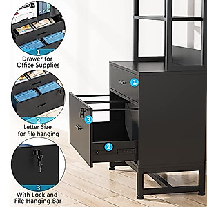 LITTLE TREE 2 Drawers Vertical Office File Cabinet