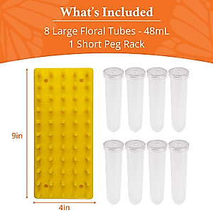 Short Peg Rack with 8 Large Floral Tubes to Feed Caterpillars Fresh Milkweed Cuttings, Host Plants, and Nectar Flowers by MONARCH BUTTERFLY LIFE
