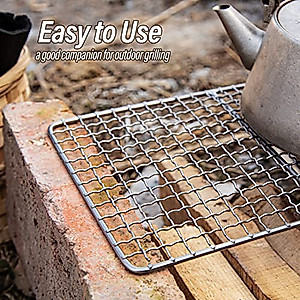 TiTo Titanium BBQ Net Grill Portable Ultralight Non-Stick Meat Grill Grate for Home Garden Outdoor Camping Picnic Hiking Charcoal Holder with Storage Bag (A)
