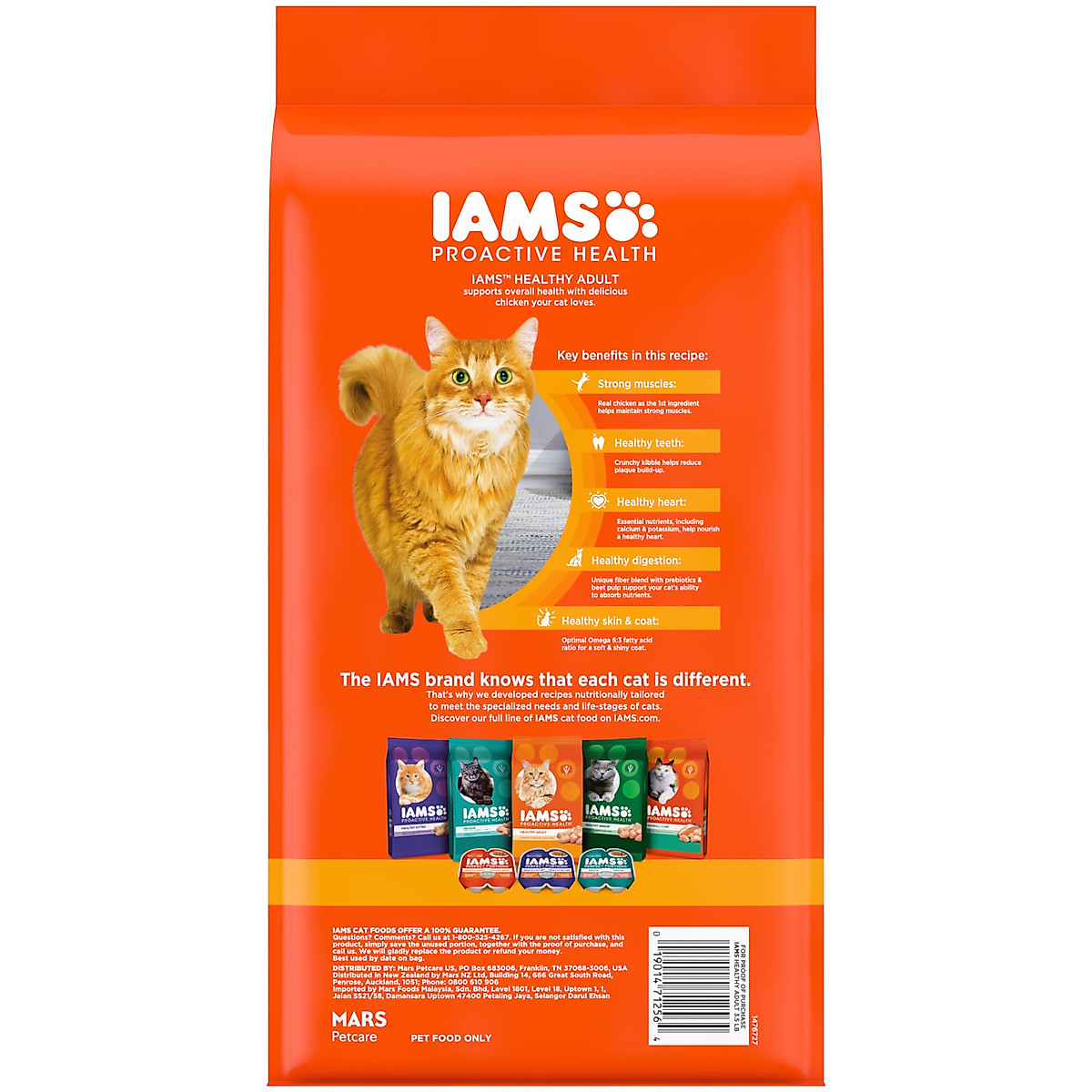 IAMS PROACTIVE HEALTH Adult Healthy Dry Cat Food with Chicken Cat Kibble, 3.5 lb. Bag