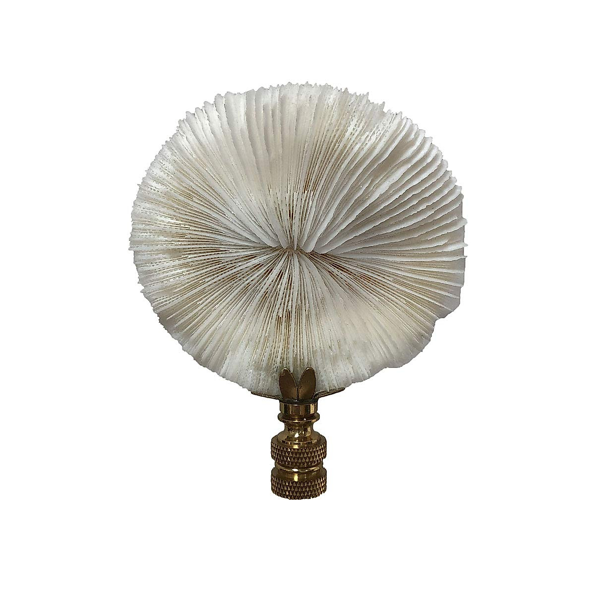Royal Designs Natural Coral 3.75" Lamp Finial for Lamp Shade, White Mushroom Coral, Polished Brass Base - Set of 2