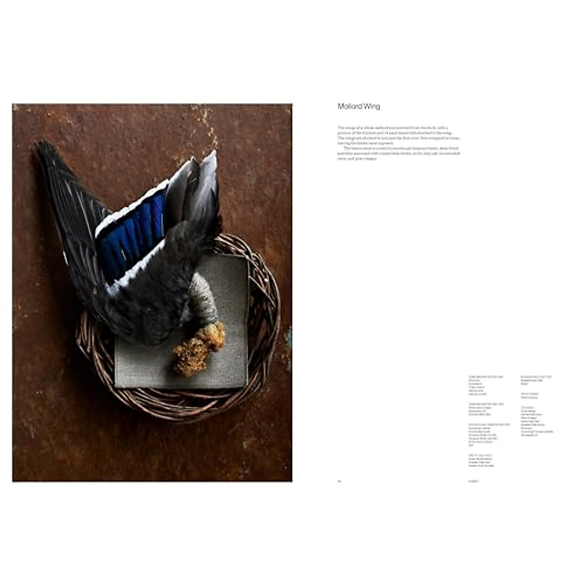 Noma 2.0: Vegetable, Forest, Ocean