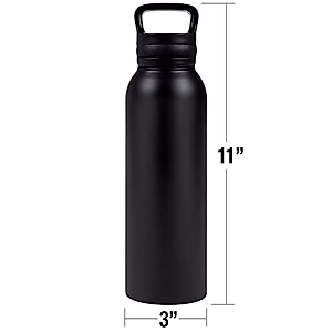Garfield OFFICIAL Hang In There 24 oz Insulated Canteen Water Bottle, Leak Resistant, Vacuum Insulated Stainless Steel with Loop Cap