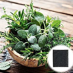 24 Pack Pump Sponge Filter Compatible with AG Garden Harvest, Bounty, Farm, Extra, Ultra All Models, Replacement Pump Filter Accessories