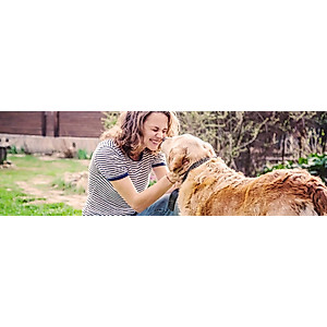 Aloha Medicinals K9 Immunity Plus, Immune Support Supplement for Dogs Over 70 lbs, Organic and Mushroom Enhanced Dog Health Supplies, Pack of 2, 90 Chews