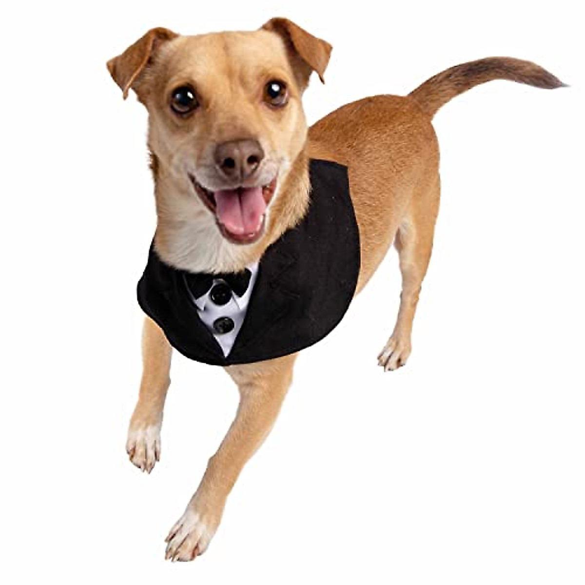Dog Tuxedo Suit & Bow Tie Set by Pet Krewe, Stylish Wedding Tux Party Outfit for Small and Large Dogs