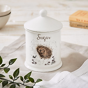 Royal Worcester Wrendale Designs Hedgehog Sugar Canister 14.5cm