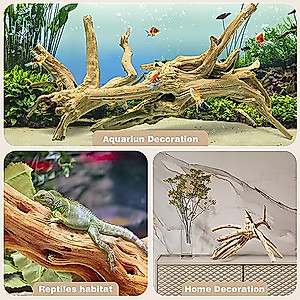 WDEFUN Driftwood for Aquarium Decor Natural Spider Wood Branches for Fish Tank Decorations 4-8 inch Pack of 7