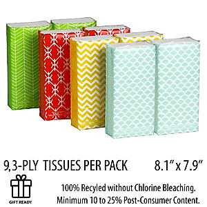 Funwares Pocket Sized White Car Travel School Work Facial Tissue, 24 Packs, 216 Total 3-Ply Tissue Sheets (9 - 3-Ply Tissue Sheets Per Pack), Elegant Floral Print Designed Package