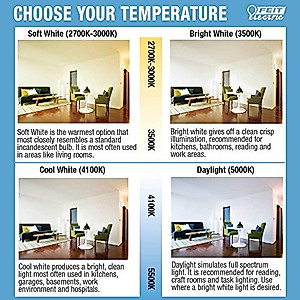 Feit Electric - Decorative Clear Glass Filament LED Dimmable 60W Equivalent Soft White (2700K) Classic A15 Light Bulb, 2-Bulb (BPA1560/827/LED/2), 3.2" H x 1.85" D