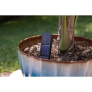 Kenroy Home 60650 Plant Solar Lighting, Small, Black