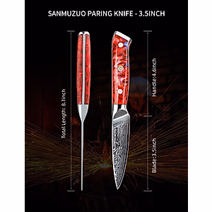 SANMUZUO 3.5 Inch Paring Knife - Kitchen Fruit Vegetable Knife Damascus Steel & Resin Handle - Xuan Series (Sunset Red)
