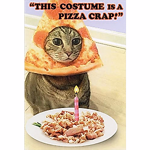 Recycled Paper Greetings Cat Wearing Pizza Costume Funny/Humorous Halloween Birthday Card