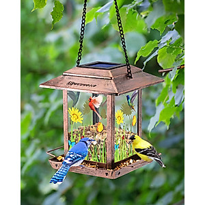 DesGully Bird Feeders for Outdoors Hanging - 2.5 LBs Wild Birds Metal Solar Bird Feeder for Outside Gift Ideas for Bird Lovers Garden Yard Bird Seeds (Chew-Proof,Weather Resistance)