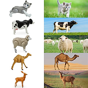 Beverly Hills Doll Collection Farm Animal Toys Set of 10, Large Toy Farm Animals for Toddlers, Plastic Animal Figures, Realistic Animal Figurines for Kids