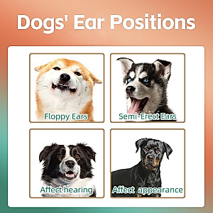 MANON ROSA Dog Ear Posting Kit for Doberman Pinschers - Ear Stand Up Support Tool with Tape for Ear Correction and Vertical Hold (2-Pack)