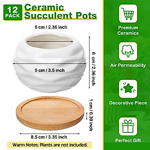 Hsei 12 Pack Small Succulent Planter 3 Inch with Bamboo Tray and Drainage Hole Mini Ceramic Flowers Pot White Water Pattern Plant Pots for Office Garden Home Decoration Gifts (Plants Not Included)