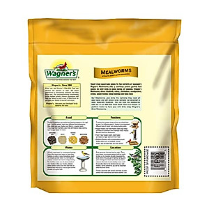 Wagner's 58005 Mealworms Wild Bird Food, 18-Ounce Bag