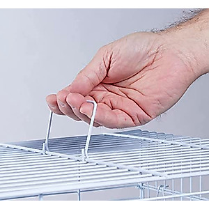 PENN-PLAX Cockatiel & Small Parrot Starter Kit with Birdcage, Cover, and Accessories – Great for Cockatiels, Conures, and Small Parrots – Square Dome – White