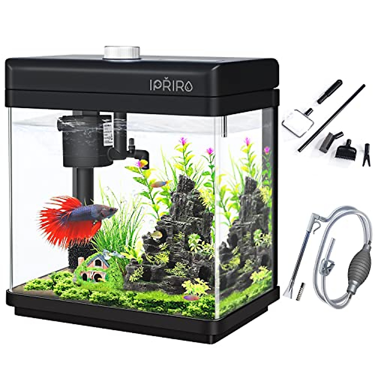 iPriro Glass Betta Aquarium Starter Kits Fish Tank with LED Light and Temp Display 1.5 Gallon, Top Filtration, Gravel Cleaners, Cleaner Tool 4 in 1