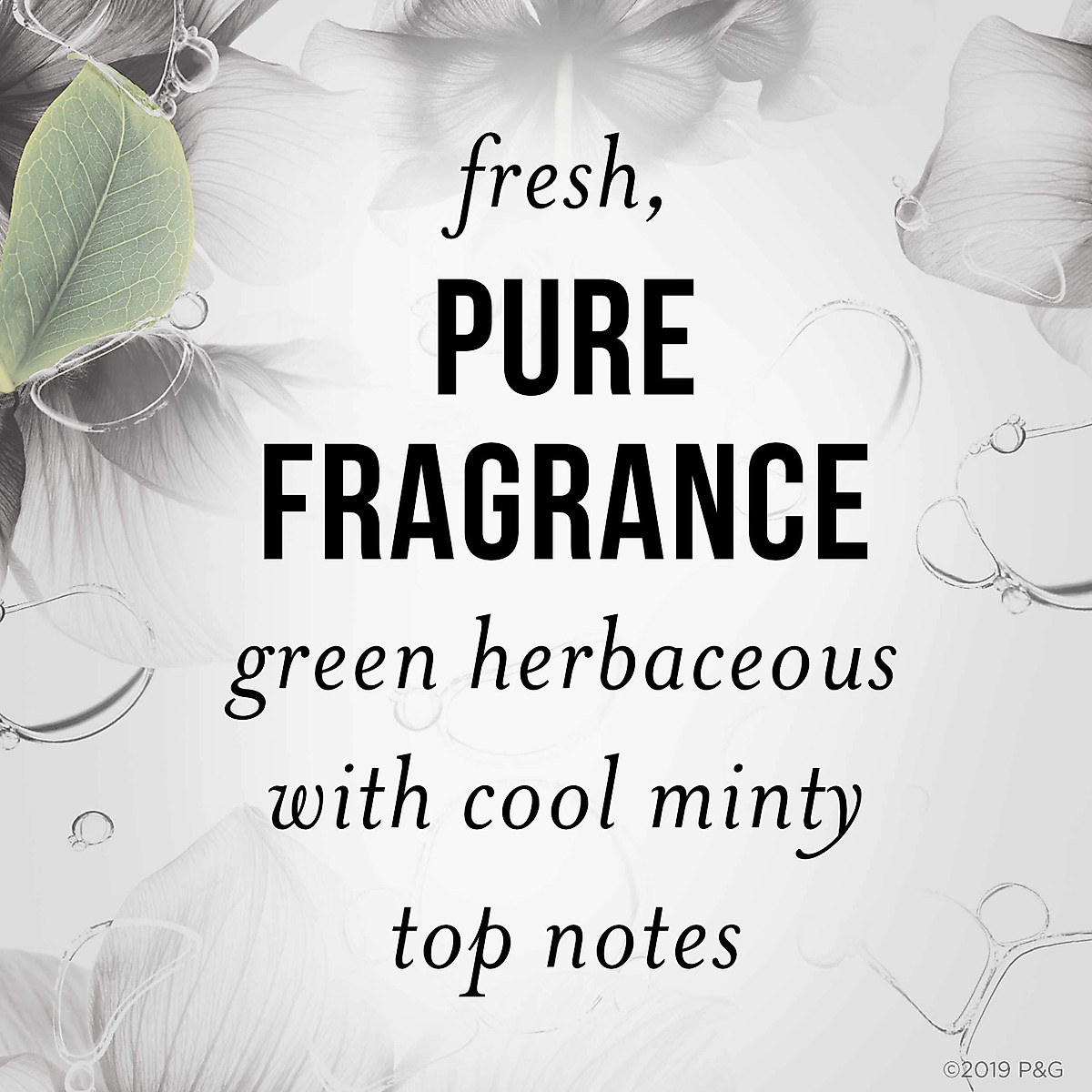 Pantene Nutrient Blends Deep Detox & Renew Clarifying Silicone Free Charcoal Conditioner, 8 Fl Oz