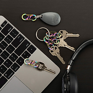 Nite Ize S-Biner MicroLock - Mini Carabiner Clips for Keychain Organizers & Travel Accessories - Mini S-Biners - Small Carabiners with Secure Lock - Stainless Steel, 5-Pack