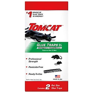 Tomcat Rat Trap with Immediate Grip Glue for Rats, Mice, Snakes, Cockroaches, Spiders, and Scorpions, Ready-To-Use, 2 Traps