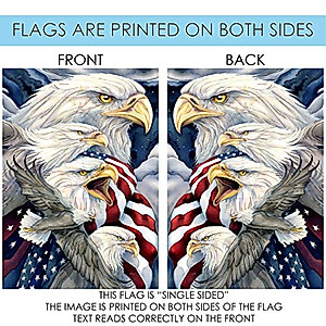 Toland Home Garden 1012379 Fly In Unity Patriotic Flag 28x40 Inch Double Sided Patriotic Garden Flag for Outdoor House Eagle Flag Yard Decoration
