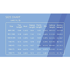 Boys Girls 2Pcs Velvet Hooded Tracksuit Toddler Kids Fleece Hoody Top + Sweatpants Sweatsuit Outfits Set