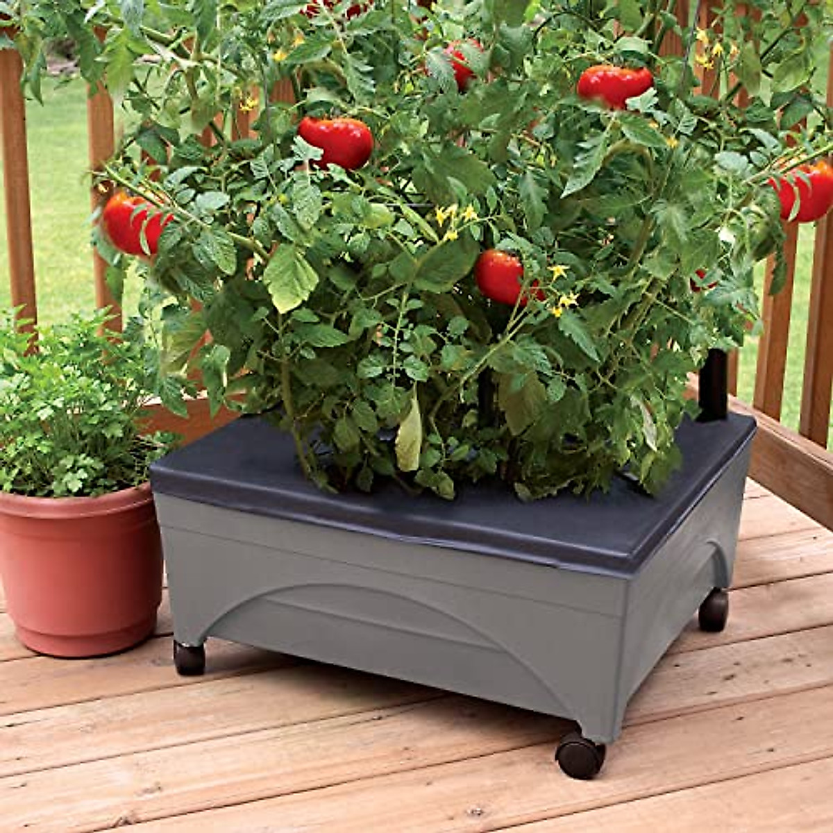 Emsco Group City Picker Raised Bed Grow Box – Self Watering and Improved Aeration – Mobile Unit with Casters - Slate