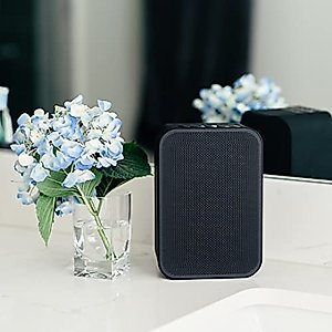 Bluesound Pulse Flex 2i Portable Wireless Multi-Room Smart Speaker with Bluetooth - Black - Compatible with Alexa and Siri