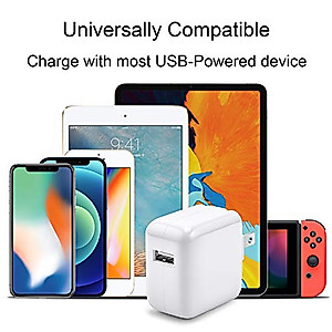 iPad Charger iPhone Charger【Apple MFi Certified】 12W USB Wall Charger Foldable Portable Travel Plug with 2-Pack USB to Lightning Cable(6 Ft) Compatible with iPhone, iPad, iPad Mini, iPad Air, Airpods