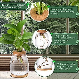 4 Pcs Desktop Plant Terrarium Plant Propagation Planter Propagation Vase Propagation Jars Glass Plant Containers Air Planter Water Station with Wooden Lid and Stand for Hydroponic Home Office (Large)