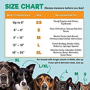 BENCMATE Protective Inflatable Collar for Dogs and Cats - Soft Pet Recovery Collar Does Not Block Vision E-Collar (Large, Blue)