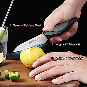 Balamno Paring Knife, 4 Inch Kitchen Knives for Fruits and Vegetables, German Steel Fruit Knife Tomato Cutter with Non-slip Ergonomic Grip, Injection Molding, Ultra Sharp