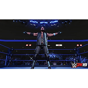 WWE 2K19 - Xbox One (Renewed)