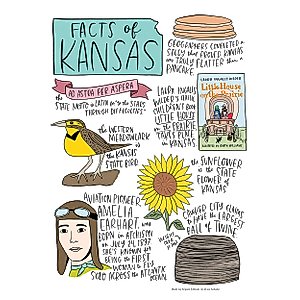Allport Editions Kansas State Facts Kitchen Towel - 100% Cotton Kitchen Dish Towel