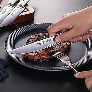 Cangshan S1 Series 1020366 German Steel Forged 4-Piece Steak Knife Set, 5-Inch Straight-Edge Blade