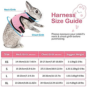 Pettom Bunny Rabbit Harness with Stretchy Leash Cute Adjustable Buckle Breathable Mesh Vest Harness and Leash Set for Kitten Small Pets Holland Lop Bunnies Walking (S(Chest:10.8-12.9 in), Pink)