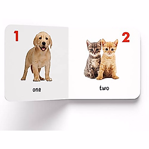 My First Library : Boxset of 10 Board Books for Kids