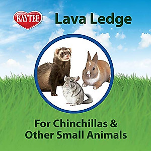 Kaytee Lava Ledge for Attaching To Small Pet Animal Wire Habitats